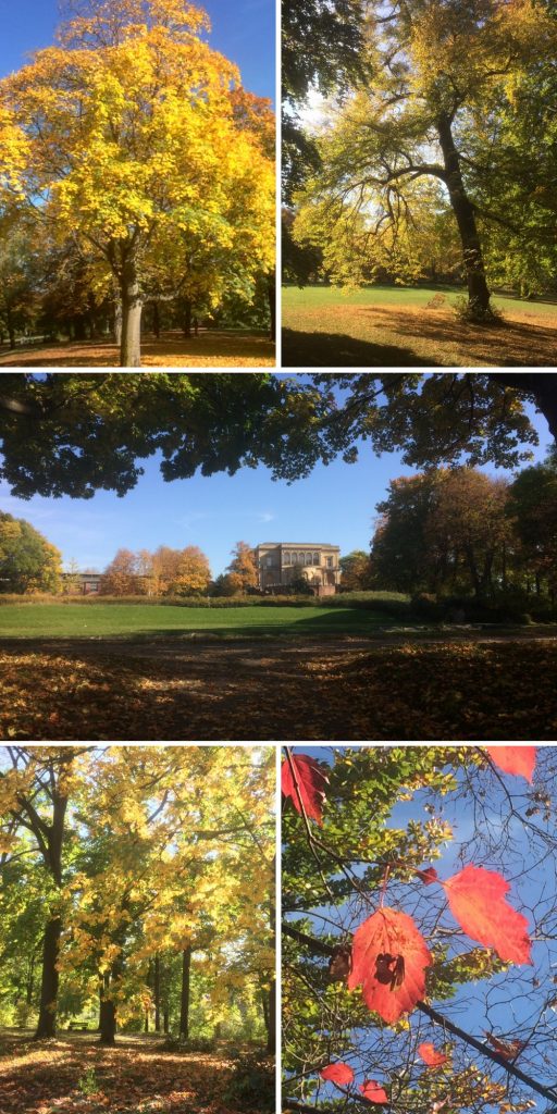 What to do on a sunny fall day in Stuttgart - Living in Stuttgart