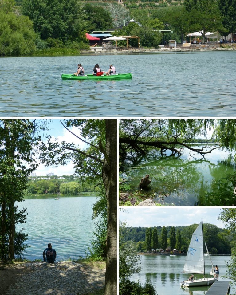 Summer Sightseeing: Max-Eyth-See - Living in Stuttgart